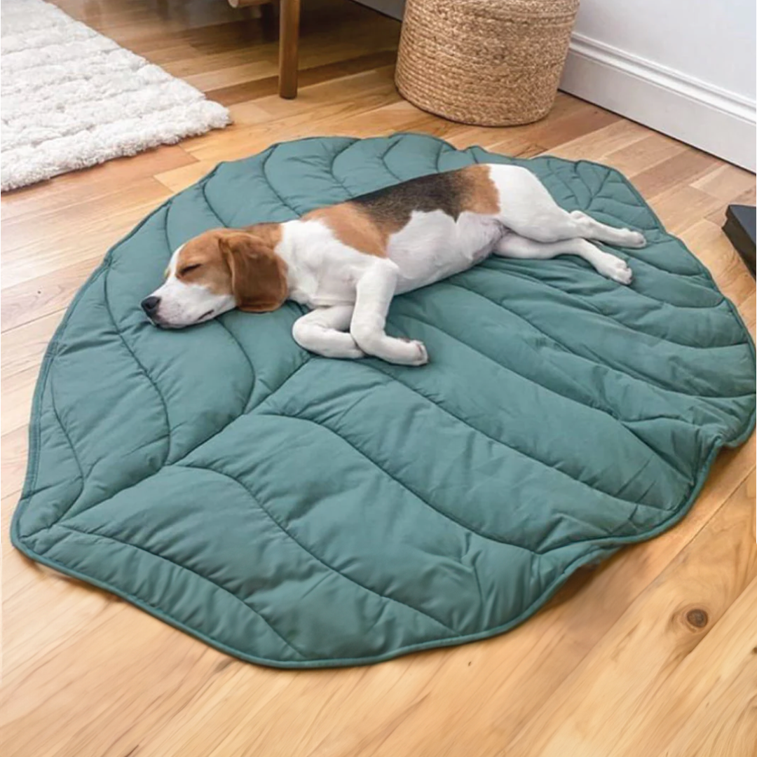 Pet Leaf Blanket – Natural Calm